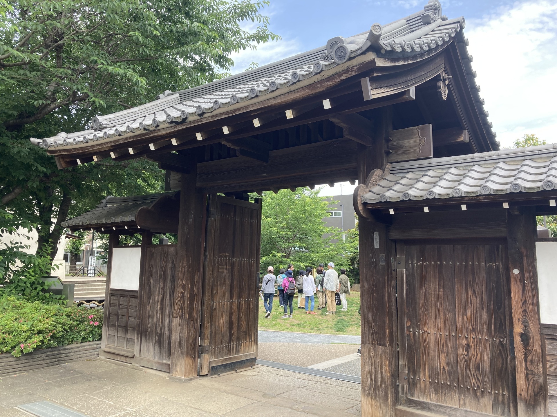 江戸の園芸文化をたどる駒込さんぽ: BLOG/雑記帳